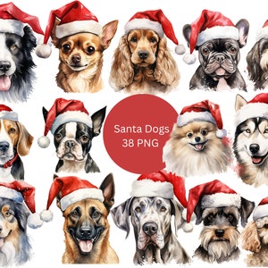 Watercolor Santa Dogs Clipart, Christmas PNG Digital Files on ...
