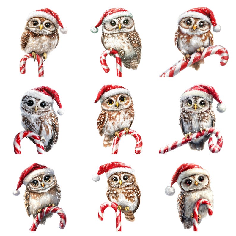 37 Santa Owls on Candy Cane Watercolor Clipart, Christmas Clipart, PNG ...