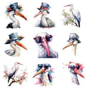 Watercolor Storks Clipart, PNG Digital Files on Transparent Background ...