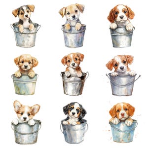 Watercolor Puppy in Bucket Clipart Set - 38 Cute Dog Illustrations ...