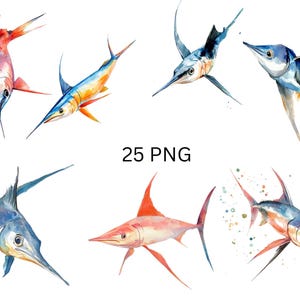 Watercolor Swordfish Clipart Set 25 Unique Marine Fish , PNG Individual ...