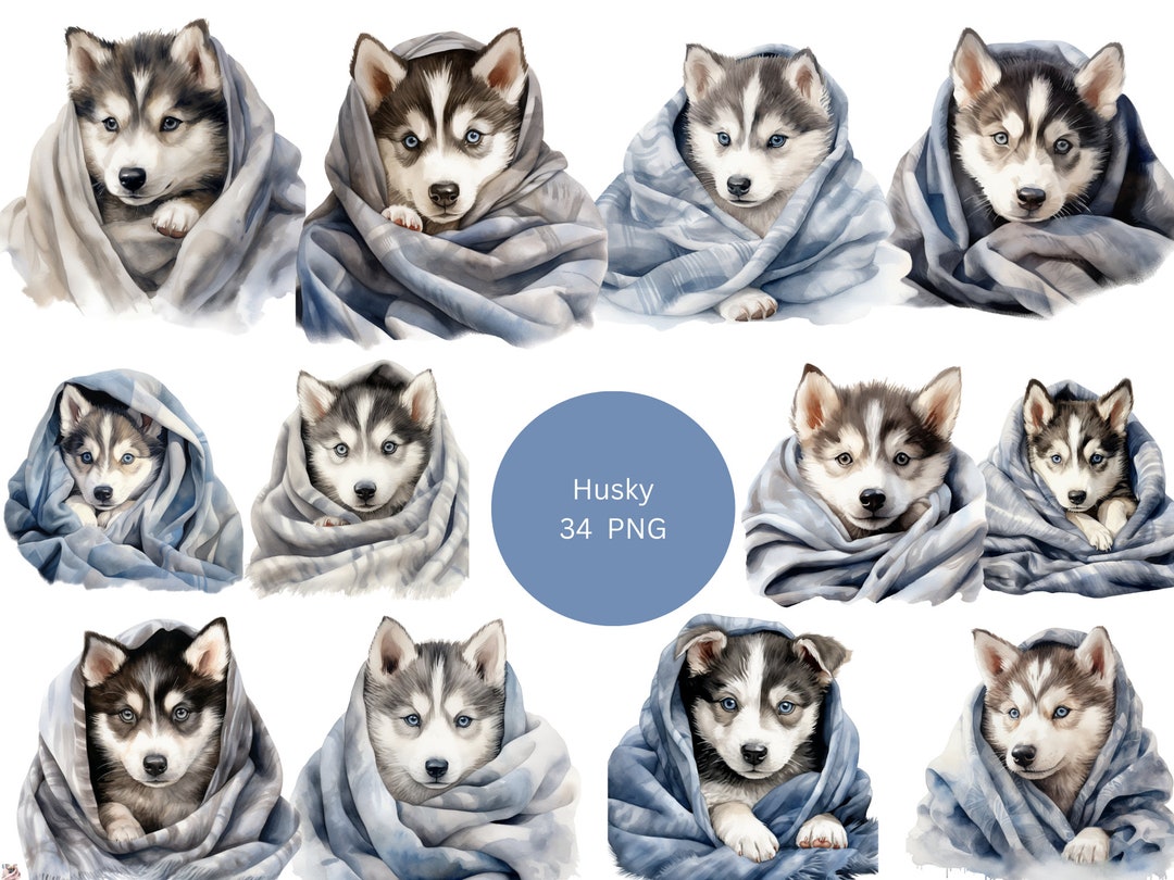 34 Snuggly Huskies Watercolor Clipart, Dog Clipart, PNG Individual ...