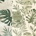 Tropical Green Leaves Digital Paper – 18 Botanical Jungle Backgrounds ...