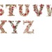 Watercolor Pink and Red Flowers Alphabet Clipart, Floral PNG Individual ...