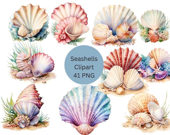 Sea Shells Pearls Clipart, Seashell Clipart, 20 Seashell High Quality ...