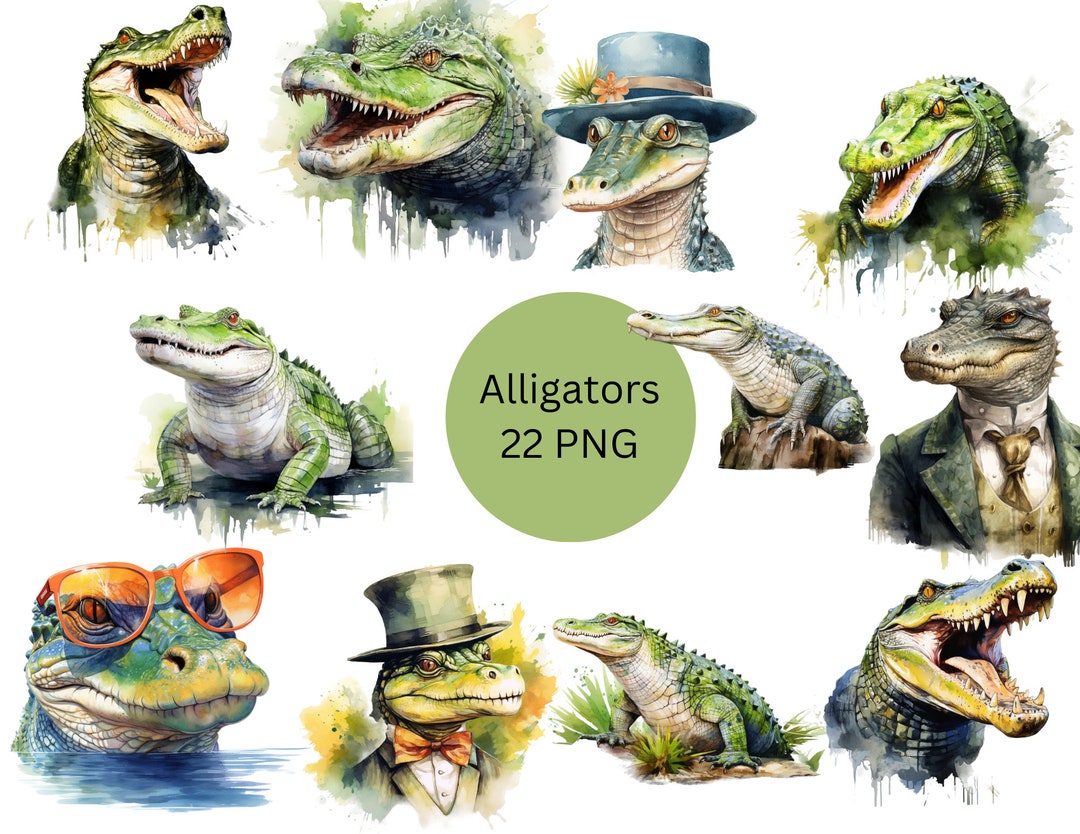 Watercolor Alligators Clipart, PNG Digital Files on a Transparent ...