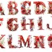 Watercolor Floral Red Alphabet Clipart , Floral Alphabet, Transparent ...