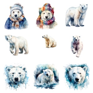 Watercolor Polar Bears Clipart, PNG Digital Files on Transparent ...