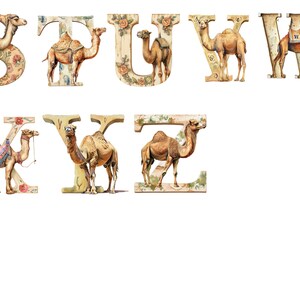 Watercolor Camel Alphabet Clipart, PNG Individual Images on Transparent ...