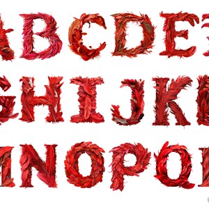 Red Feathers Alphabet, Letters Png, Alphabet Png, Instant Download for ...