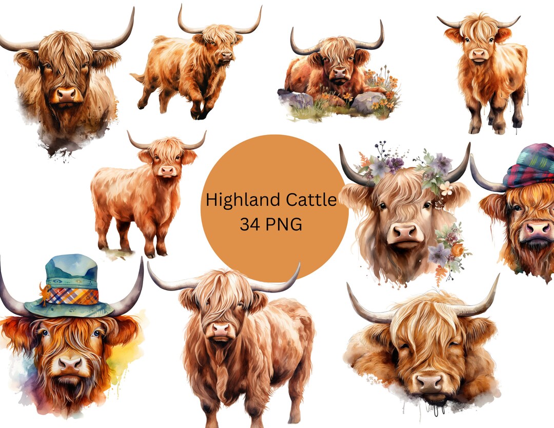 Watercolor Highland Clipart, Cattle PNG, Cute Cows Digital Files on ...