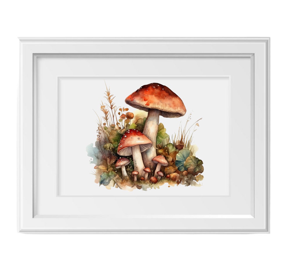 Watercolor Mushrooms Clipart PNG Digital Files on Transparent - Etsy