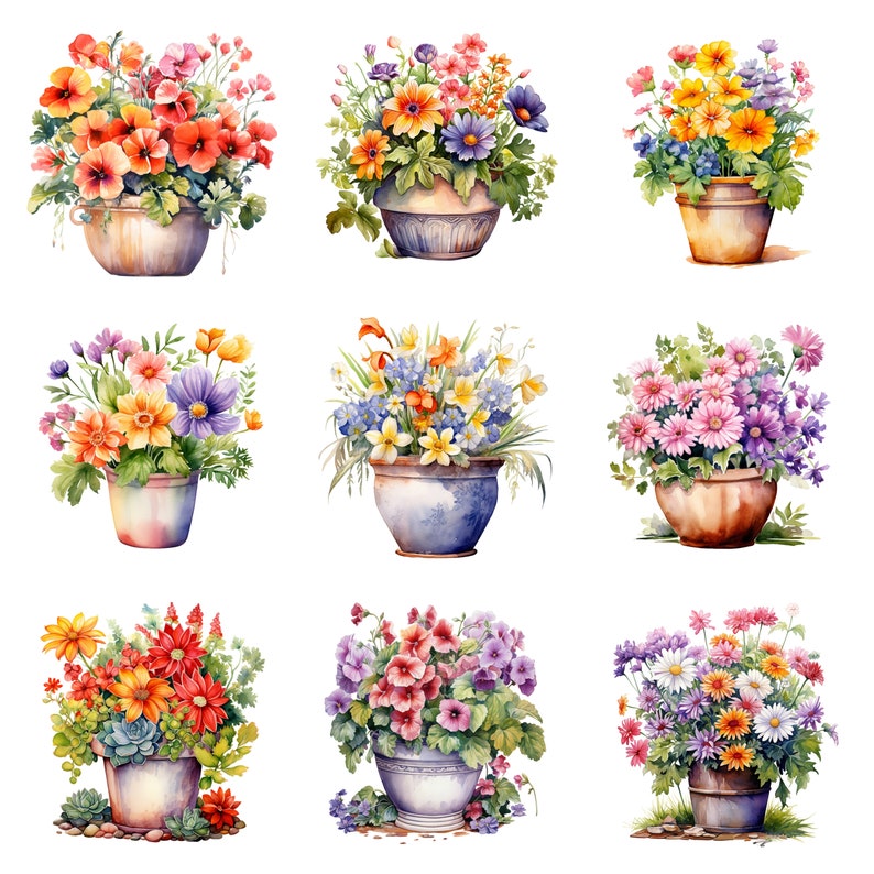 Watercolor Flowers in Pots Clipart PNG Digital Files on - Etsy