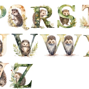 Hedgehog Alphabet Clipart ,letters, Hedgehog, Transparent Background ...