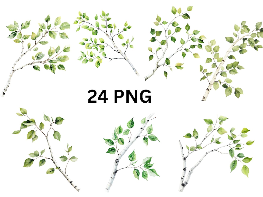 Birch Tree Branches Clipart | 24 PNG Green Leaves, PNG Individual ...
