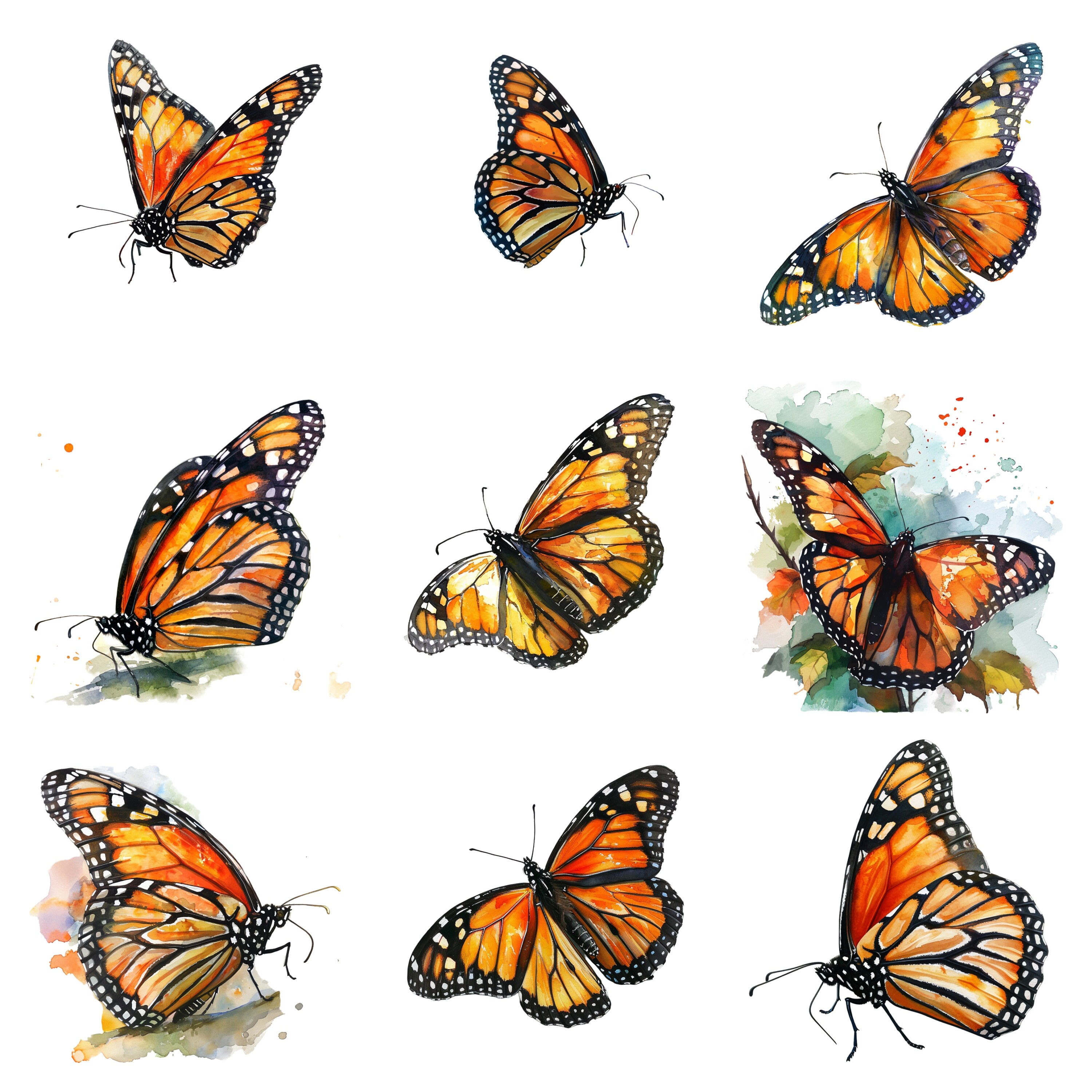 Watercolor Monarch Butterfly Clipart, PNG Digital Files on Transparent ...
