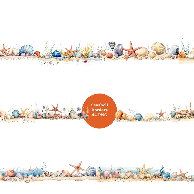 Seashell Border - Etsy
