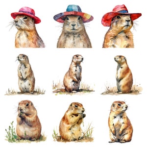 Watercolor Prairie Dogs Clipart, PNG Digital Files on Transparent ...