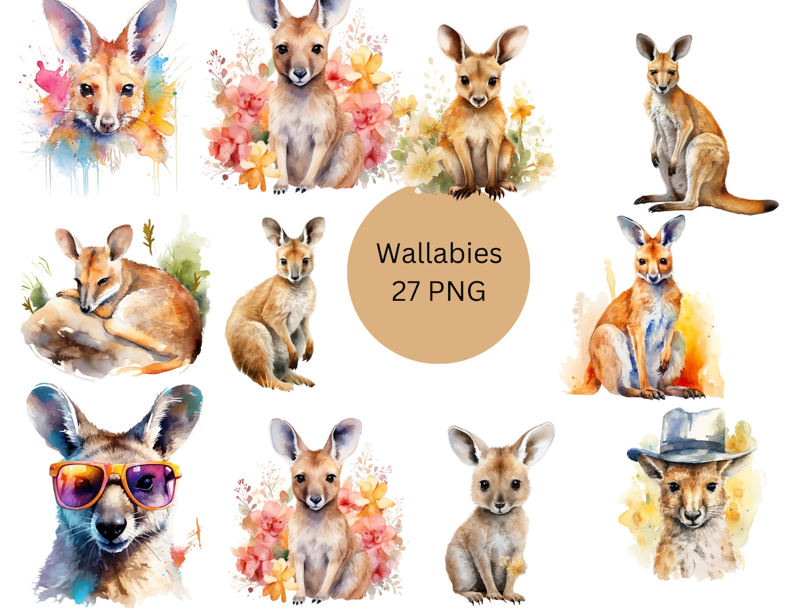 Watercolor Wallabies Clipart, PNG Digital Files on a Transparent ...