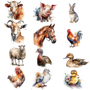 Farm Animals Bundle, Watercolor, 21 Beautiful PNG Images, Transparent ...