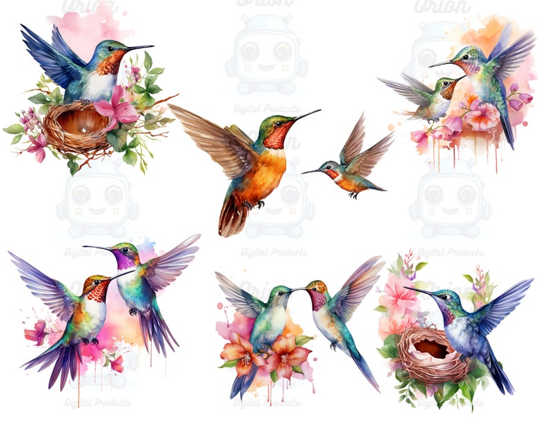 Watercolor Hummingbirds Clipart PNG Digital Files on - Etsy