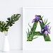 Iris Alphabet, Letters Png, Alphabet Png, Instant Download for ...