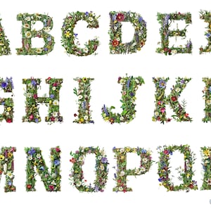 Watercolor Wildflowers Alphabet Clipart, PNG Individual Images on ...