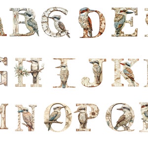 Watercolor Kookaburras Alphabet, Letters, PNG Individual Images ...