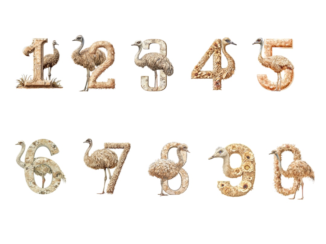 Watercolor Emu Numbers Clipart, PNG Individual Images, Commercial Use ...