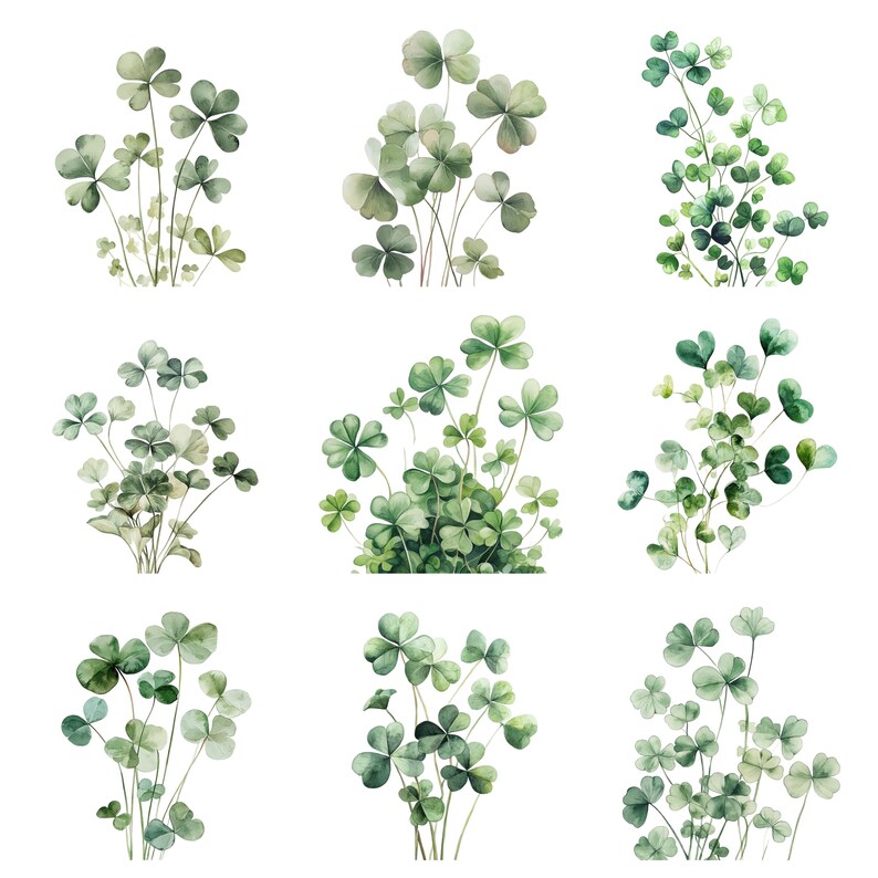 31 Shamrock Watercolor Clipart, Nature Clipart, PNG Individual Images ...