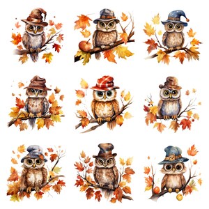 37 Owl With Hats Watercolor Clipart, Fall Owls, Fall Clipart, PNG ...