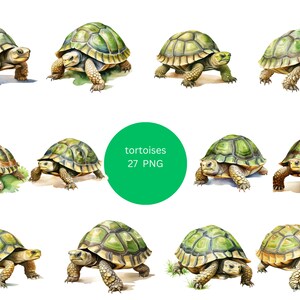 27 Tortoises Watercolor Clipart, Pets Clipart, PNG Individual Images on ...
