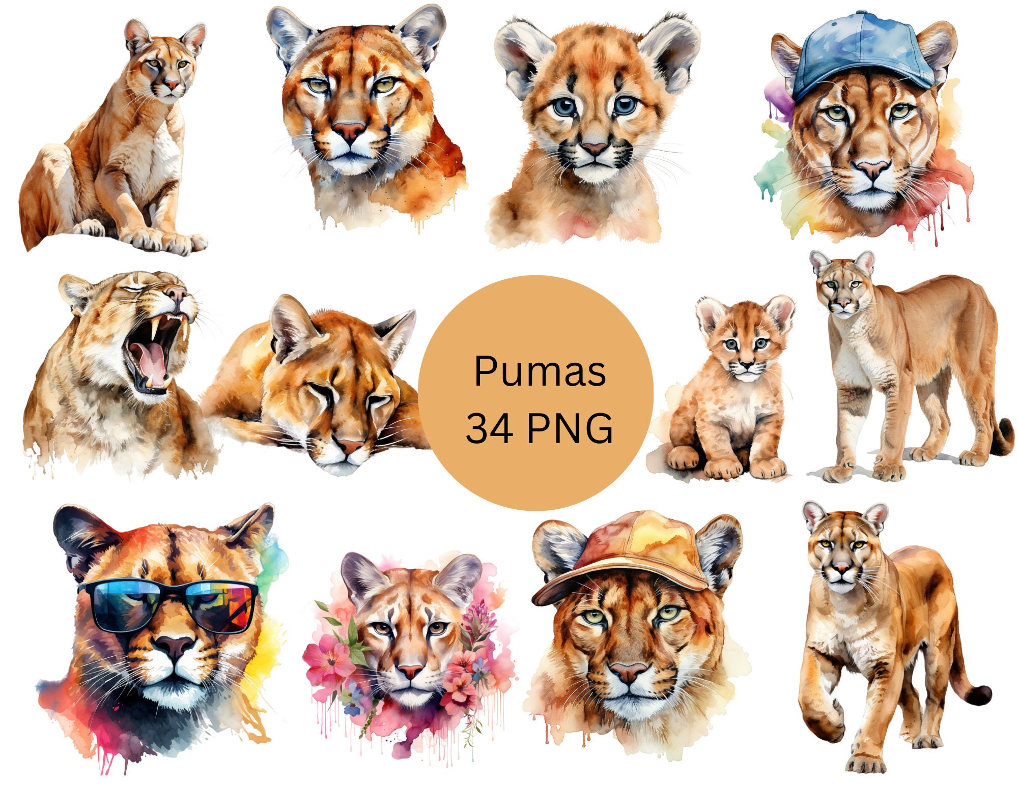 Watercolor Pumas Clipart PNG Digital Files on Transparent - Etsy