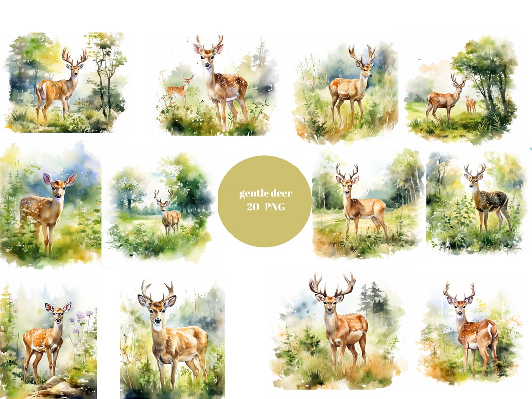 20 Gentle Deer Watercolor Clipart, Forest Clipart, PNG Individual ...