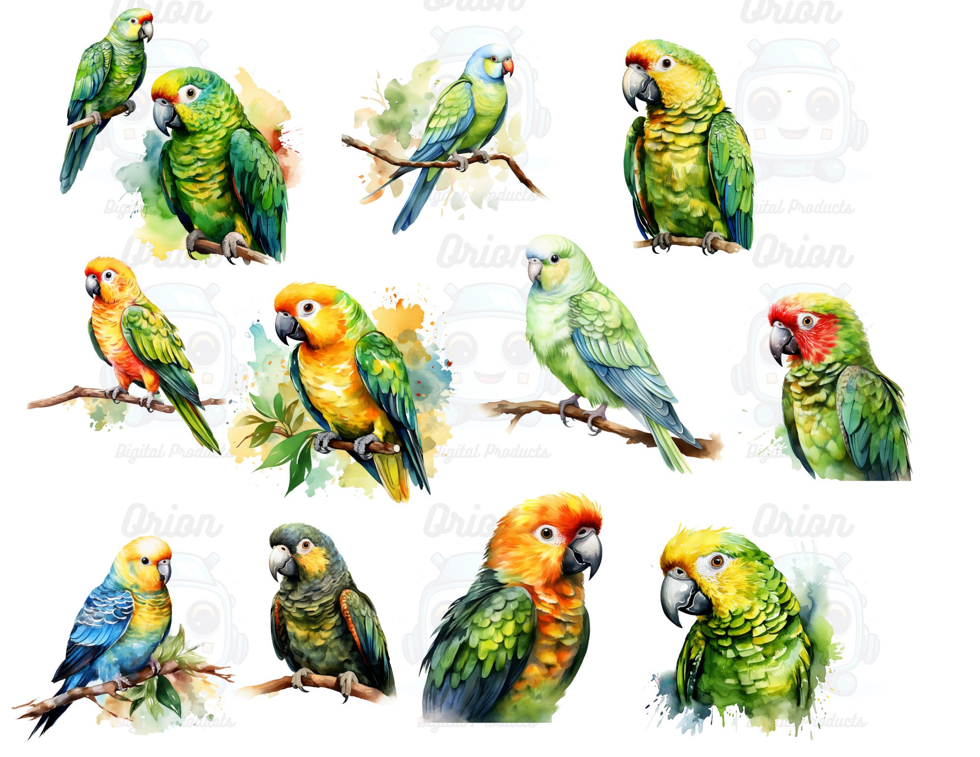 Watercolor Parrots Clipart PNG Digital Files on a Transparent - Etsy