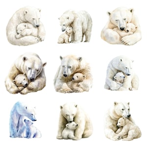 Polar Bear Family Clipart Set - 29 Watercolor Arctic Wildlife ...