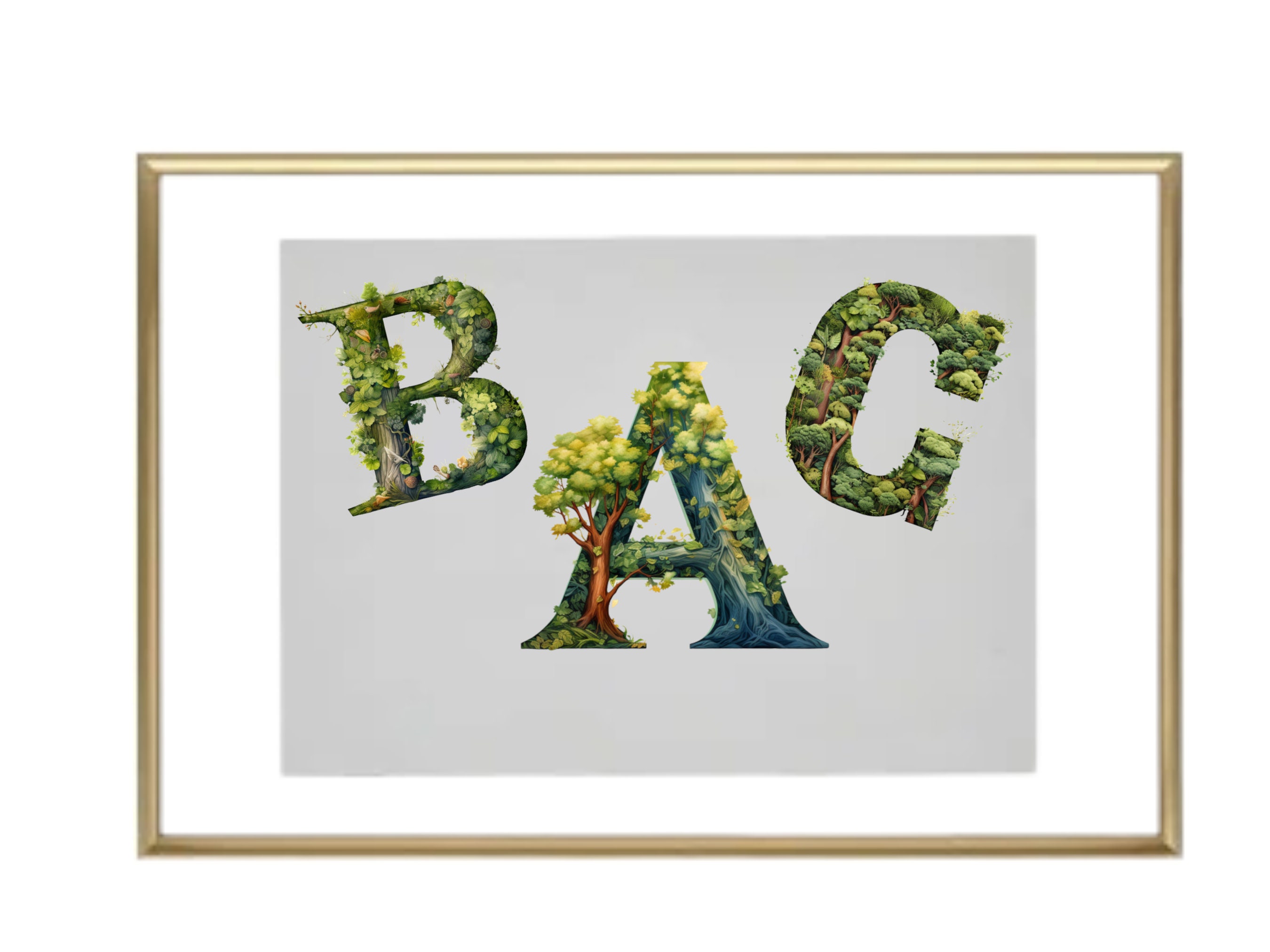 Trees Alphabet Clipart Alphabet Transparent Background - Etsy Canada