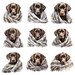 34 Snuggly German Shorthaired Pointers Watercolor Clipart, Pets Clipart ...