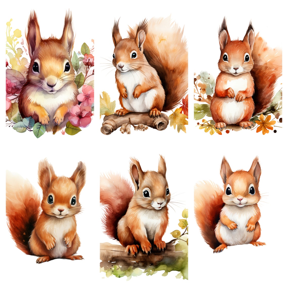 Watercolor Squirrels Clipart, PNG Digital Files on Transparent ...