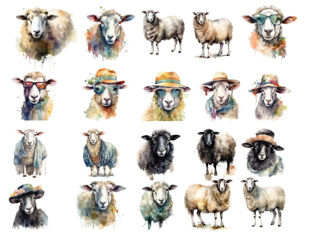 Sheep Bundle, Farm Animals, Watercolour, 32 PNG Images, Transparent ...
