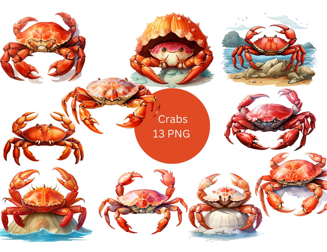 Watercolor Crabs Clipart, PNG Digital Files on Transparent Background ...