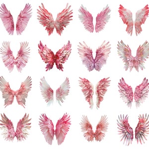 Watercolor Pink Wings Clipart, Transparent Background, High Quality ...