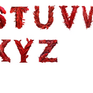 Red Feathers Alphabet, Letters Png, Alphabet Png, Instant Download for ...