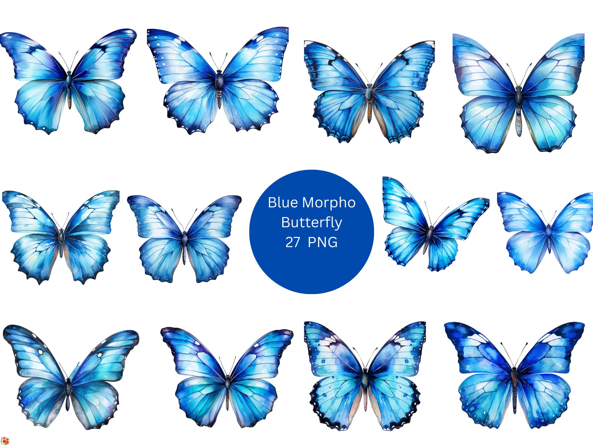 Blue Morpho Butterfly Clip Art
