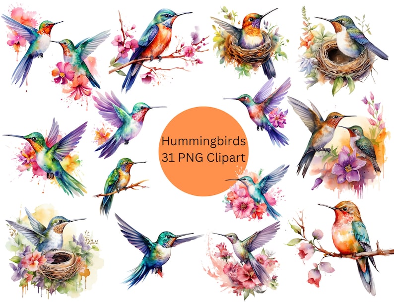 Watercolor Hummingbirds Clipart PNG Digital Files on - Etsy