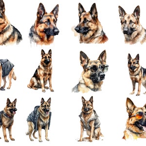 Watercolor German Shepherd Clipart, 26 Cute PNG Images, High Quality ...