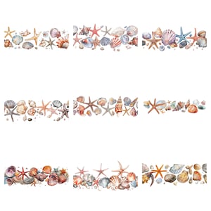 21 Seashell Borders Watercolor Clipart, Border Clipart, PNG Individual ...
