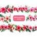 Watercolor Floral Red Alphabet Clipart , Floral Alphabet, Transparent ...