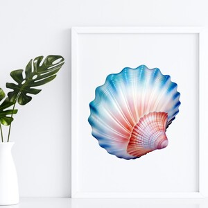 Watercolor 48 Nautical Shell Clipart, PNG Individual Images on ...