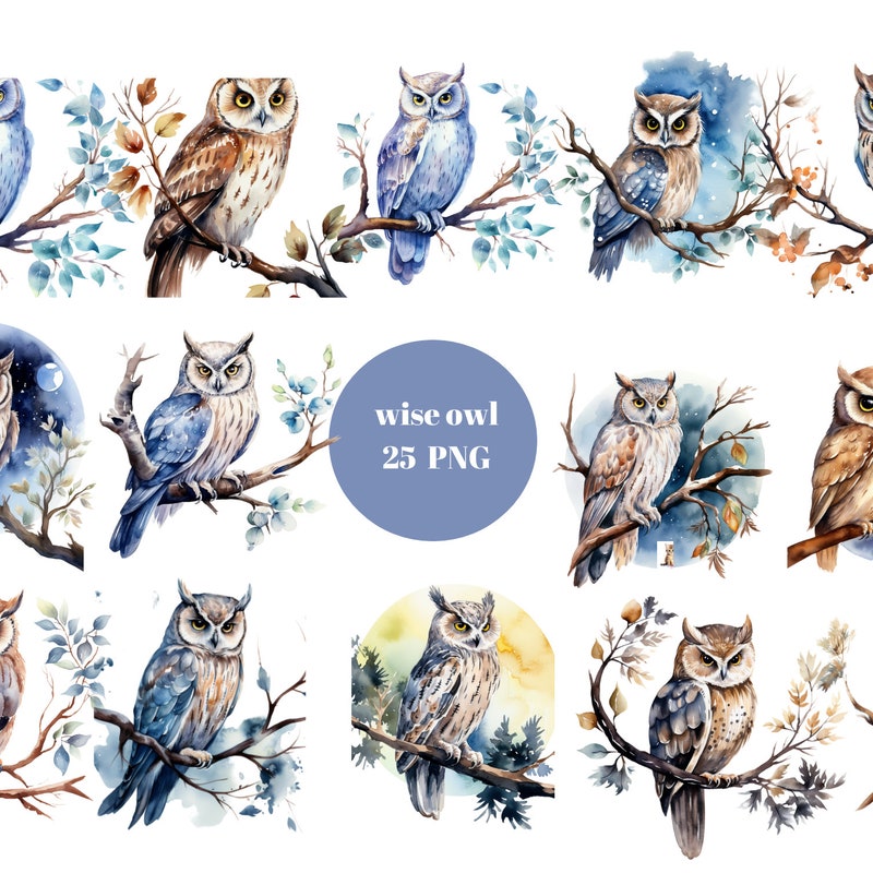 Wise Owl Clip Art - Etsy